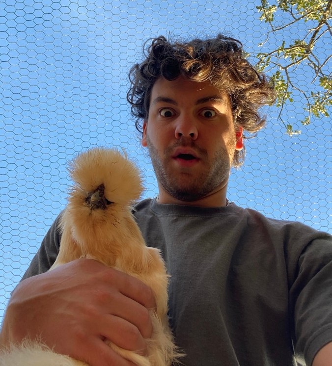 Chicken sitting can be extremely useful for sinking into meditation ...